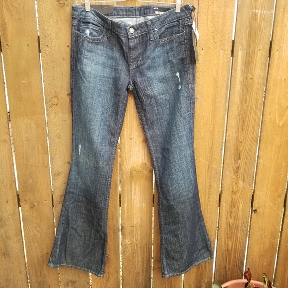 William Rast | Jeans | Nwt William Rast Women Bootcut Jeans | Poshmark